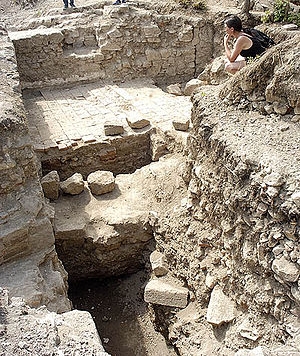 Prezentarea Comunei Frumuseni